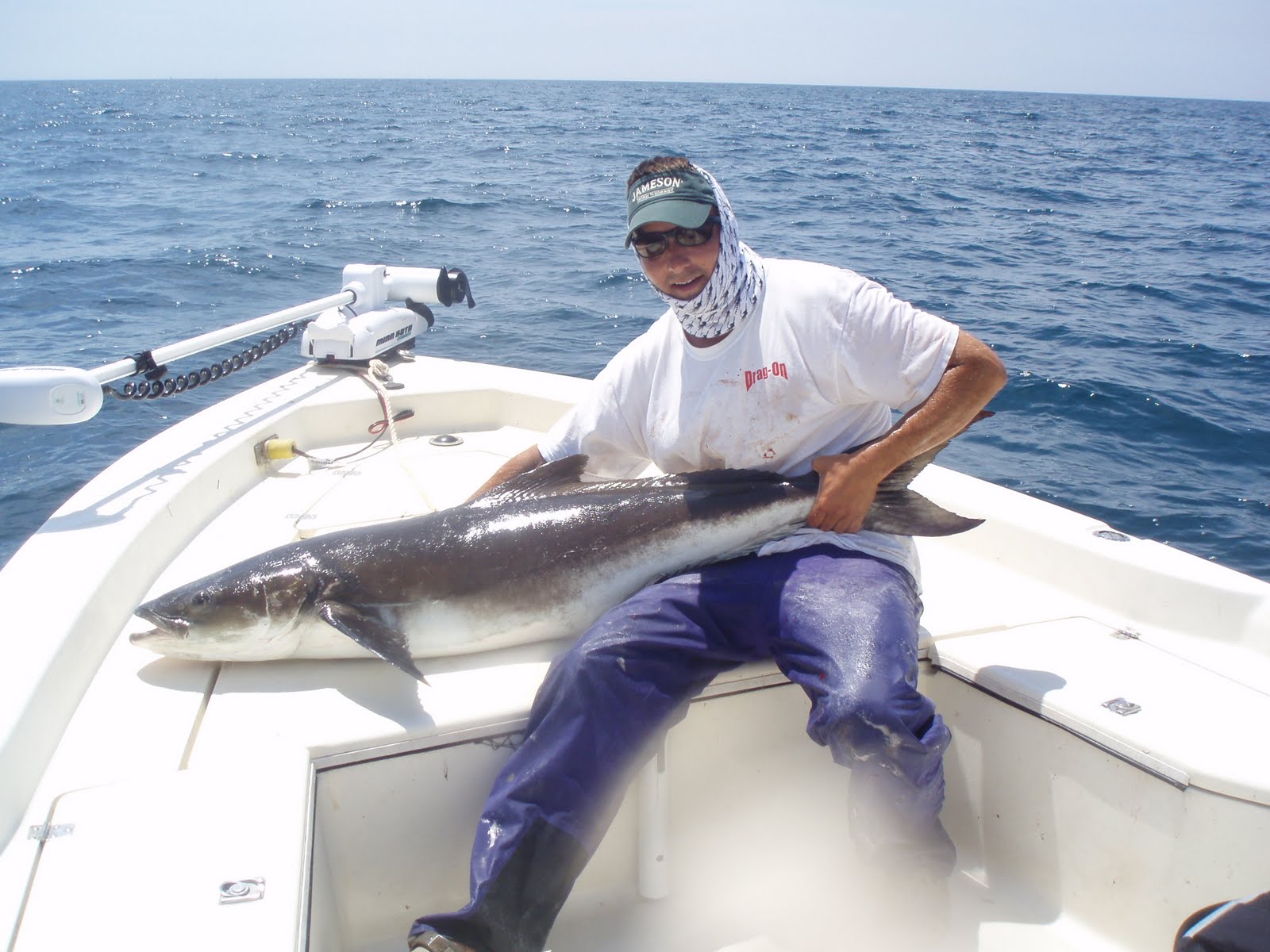 Big Cobia - Fully-Equipped Fishing Charters | Sarasota, Florida - Capt ...